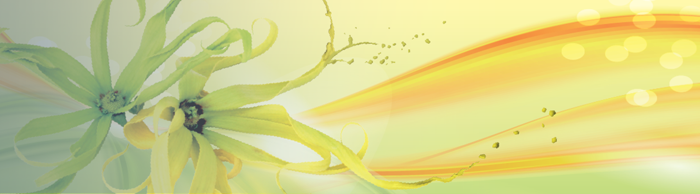 Go Live UK Ltd. -Experts in corporate website development, business IT ...